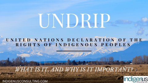 United Nations Declaration of the Rights of Indigenous Peoples (UNDRIP ...
